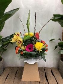 Brighton Florist - order before 12pm for same day delivery - 01273 621229